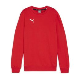 Puma Pullover "TeamGoal CasuaLongsleeve Crew Neck Sweat Jr" in Rot | Gr.: 140