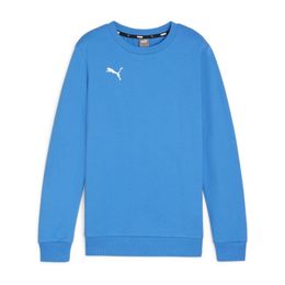 Puma Pullover "TeamGoal CasuaLongsleeve Crew Neck Sweat Jr" in Blau | Gr.: 164