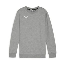 Puma Pullover "TeamGoal CasuaLongsleeve Crew Neck Sweat Jr" in Grau | Gr.: 152