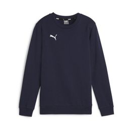Puma Pullover "TeamGoal CasuaLongsleeve Crew Neck Sweat Jr" in Blau | Gr.: 164