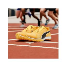 Puma Sneaker "evoSPEED Haraka 8 Unisex" in Orange | Gr.: 42,5