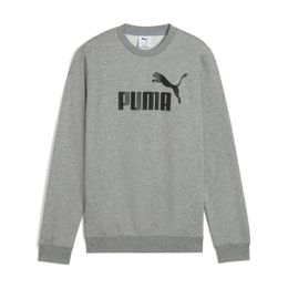 Puma Pullover "ESS No.1 Logo Crew TR B" in Grau | Gr.: 140