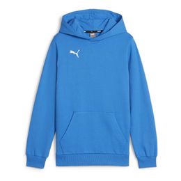Puma Hoodie "TeamGoal CasuaLongsleeve Hoody Jr" in Blau | Gr.: 128