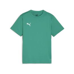 Puma T-Shirt "TeamGoal Jersey Jr" in Grün | Gr.: 116