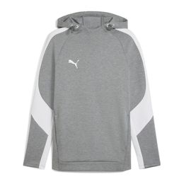 Puma Hoodie "TeamEVOSTRIPE Hoody" in Grau | Gr.: M