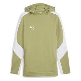 Puma Hoodie "TeamEVOSTRIPE Hoody" in Gr&uuml;n | Gr.: M