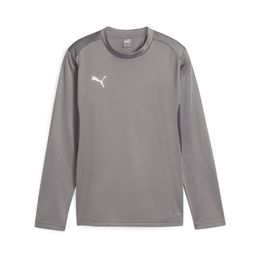 Puma Pullover "TeamGoal Training Sweat Jr" in Grau | Gr.: 152