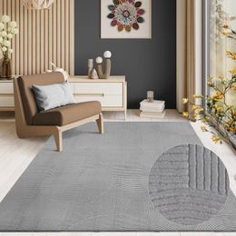 the carpet Teppich &raquo;Rio&laquo; rechteckig 8 mm H&ouml;he Grau Obermaterial: 100% Polyester B : 160 cm 1 Stk.