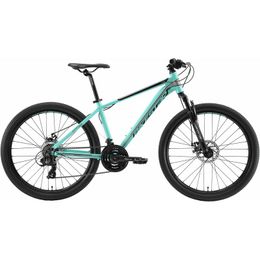 Bikestar Mountainbike 21 Gang Shimano RD-TY300 Schaltwerk Kettenschaltung für Damen und Herren, Kettenschaltung grün