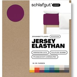 Schlafgut Spannbettlaken »EASY Jersey Elasthan Boxspring« MADE IN GREEN by OEKO-TEX Purple Deep Obermaterial: 95% Baumwolle, 5% Elasthan
