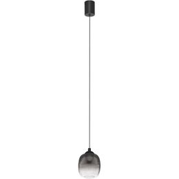 NOVA LUCE Pendelleuchte »KITA« LED-Modul 1 Stk. Warmweiß Schwarz/Rauch