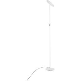 NOVA LUCE Stehlampe "SINKRO", schwarz, 1, Ø 25,2cm H: 180,6cm, 1 Stk., Leuchten