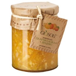 Zitrusfr&uuml;chte und Ingwer Marmelade Italienischer Fruchtauftrich