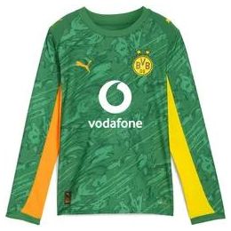 Trainingsshirt Puma "Borussia Dortmund 25/26 Langärmliges Torwarttrikot Jugendliche", Kinder, Gr. 164, orange (archive grün intense orange), 100% Polyester, regular fit, Shirts
