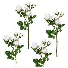 Kunstblume Creativ green, weiß, H:39cm, Kunststoff, Polyester, Kunstpflanzen, 4er Set