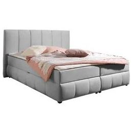 Boxbett Inosign "Hartley inkl. Bettkasten und Topper, auch in Überlänge erhältlich", grau, B:212cm L:230cm, Komplettbetten, wahlweise mit Bonnell- oder TTFK-Matratze in H2, H3 o. H4 erhältlich, Topseller