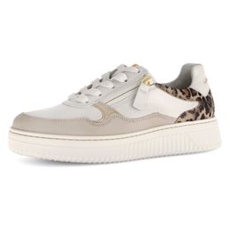 Gabor Damen Plateausneaker, Gr. 37sanftes wei&szlig;, hellbeige, leo, Kalbsleder, Nubukleder, animal-print, Schuhe, Freizeitschuh, Halbschuh, Schn&uuml;rer mit