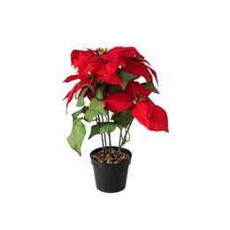 Boltze Künstlicher Weihnachtsstern in rot | Gr.: onesize