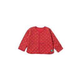 Little Green Radicals Bio-Steppjacke in Rot | Gr.: 9-12 MONATE