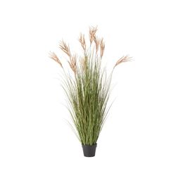 Beliani Kunstpflanze CLAW FLOWER in Grün/Braun/Schwarz - (W) 60 x (H) 150 x (L) 60 cm | Gr.: onesize