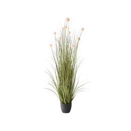 Beliani Kunstpflanze POMPOM GRASS in Grün/Rosa/Schwarz - (W) 50 x (H) 120 x (L) 50 cm | Gr.: onesize