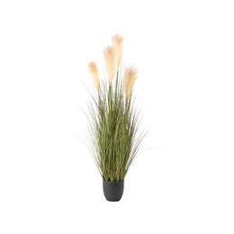 Beliani Kunstpflanze PAMPAS GRASS in Grün/Beige/Schwarz - (W) 60 x (H) 120 x (L) 60 cm | Gr.: onesize