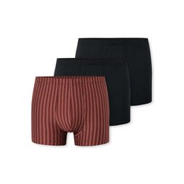Schiesser Retro Short / Pant 95/5 Essentials - Cotton in Schwarz / rot | Gr.: M