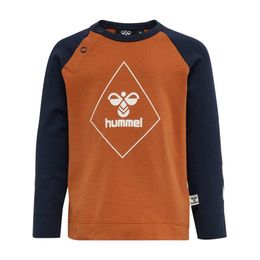 Hummel Kinder Longsleeve "Ceasar T-Shirt Longsleeve" in Braun | Gr.: 62