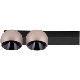 NOVA LUCE Wandleuchte »LUSA« LED-Modul 1 Stk. Warmweiß Champagne/Schwarz