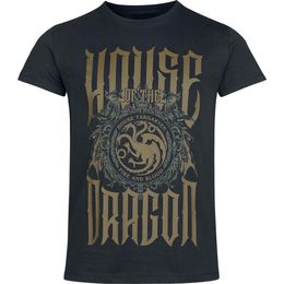 Game Of Thrones House of the Dragon T-Shirt schwarz in 3XL AM100121