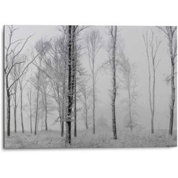 Wandbild Reinders "Aluminium Wandbild Still Natur - Schwarz-Weiss - Wald - Bäume", schwarz (farbe bild(er): schwarz, weiß), B:70cm H:50cm, Aluminium, Bilder