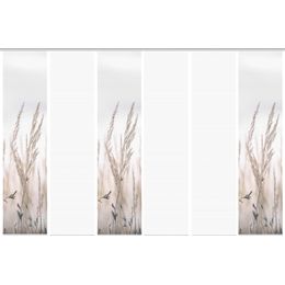 Schiebegardine Vision S "RELVA", beige (natur), B:60cm H:260cm, Polyester, Gardinen, DIGITALDRUCK