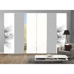 Schiebegardine Home Wohnideen "KESSI 6er SET" Gr. 1, grau, B:60cm H:245cm, Polyester, Gardinen, Schiebevorhang Digidruck 6er Set KESSI