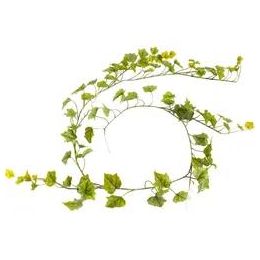 Künstliche Zimmerpflanze BOTANIC-HAUS "Weinlaubgirlande", grün, B:10cm H:180cm T:10cm Ø:10cm, Kunststoff, Kunstpflanzen