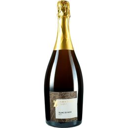 Weingut Zehnthof Kruger Blanc de Noir brut Portugieser 2024 Brut - Guldentaler Honigberg Nahe &ndash; Perl- & Schaumwein Deutscher Sekt