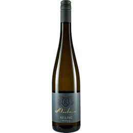 Weingut Heinz & Markus Klosheim Riesling 2024 Trocken - Rheinhessen &ndash; Wei&szlig;wein Qualit&auml;tswein