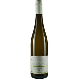 Weingut Zehnthof Knewitz Riesling 2024 S&uuml;&szlig; - Rheinhessen &ndash; Wei&szlig;wein Qualit&auml;tswein