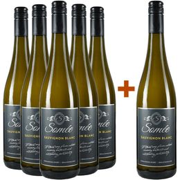 Som&eacute;e Somee 5+1 Paket Som&eacute;e alkoholfreier Wein Sauvignon Blanc 2024 Halbtrocken - Rheinhessen &ndash; Probierpaket Entalkoholisierter