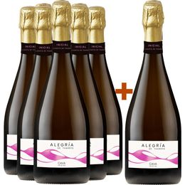 Pago de Tharsys Aktionspaket 5+1 Alegria Cava DO Chardonnay Halbtrocken - Valencia &ndash; Probierpaket DOP