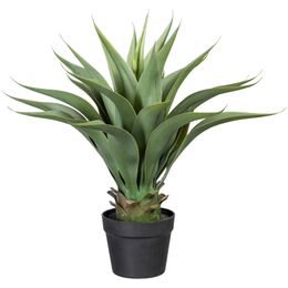 Künstliche Zimmerpflanze Creativ green "Agave", grau (graugrün), H:57cm, Kunststoff, Kunstpflanzen