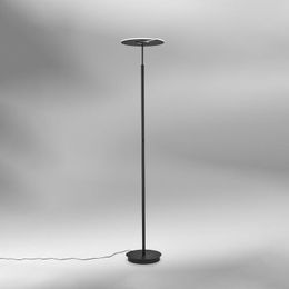 LupiaLicht TORONTO Stehleuchte, LED, 2851-1-55,