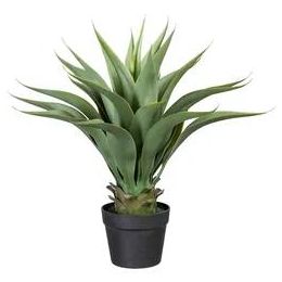 Künstliche Zimmerpflanze Creativ green "Agave", grau (graugrün), H:57cm, Kunststoff, Kunstpflanzen
