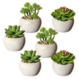 Künstliche Zimmerpflanze Creativ green "Sukkulenten", grün, H:9cm Ø:7cm, Kunststoff, Kunstpflanzen, Deko-Pflanze im Zementtopf, 6er Set