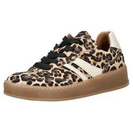 Sneaker Gabor COMFORT "Gabor Comfort Sneaker Leder", Damen, Gr. 39, schwarz (braun, schwarz), Leder, Schuhe