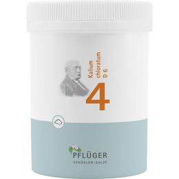 Pfl&uuml;ger&reg; Biochemie Pfl&uuml;ger 4 Kalium chloratum D 6 Pulver 250 g