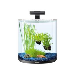 Tetra AquaArt Explorer Line Halfmoon Komplett-Set 30L Einsteiger-Sets mit Filtersystem anthrazit