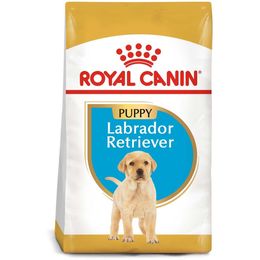 Royal Canin Labrador Retriever Puppy Welpenfutter Hunde-Trockenfutter unterstützt die Abwehrkräfte 2x12kg