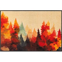 Fußmatte "Golden Season", bunt, B:50cm H:7mm L:75cm, Polyamid, wash+dry by Kleen-Tex, Teppiche