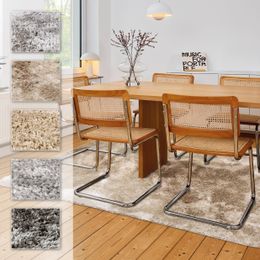 Hochflor-Teppich Astra "Paulie 251", beige, B:160cm H:25mm L:230cm, Obermaterial: 100% Polypropylen, Teppiche, Langflor, Shaggy, Wohnzimmer, Schlafzimmer