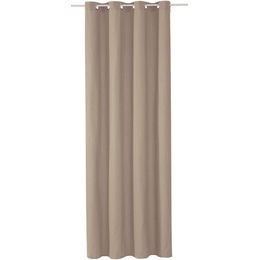 Vorhang Tom Tailor HOME "DOVE", beige (ecru), B:135cm H:245cm, Wirkware, Baumwolle, Gardinen